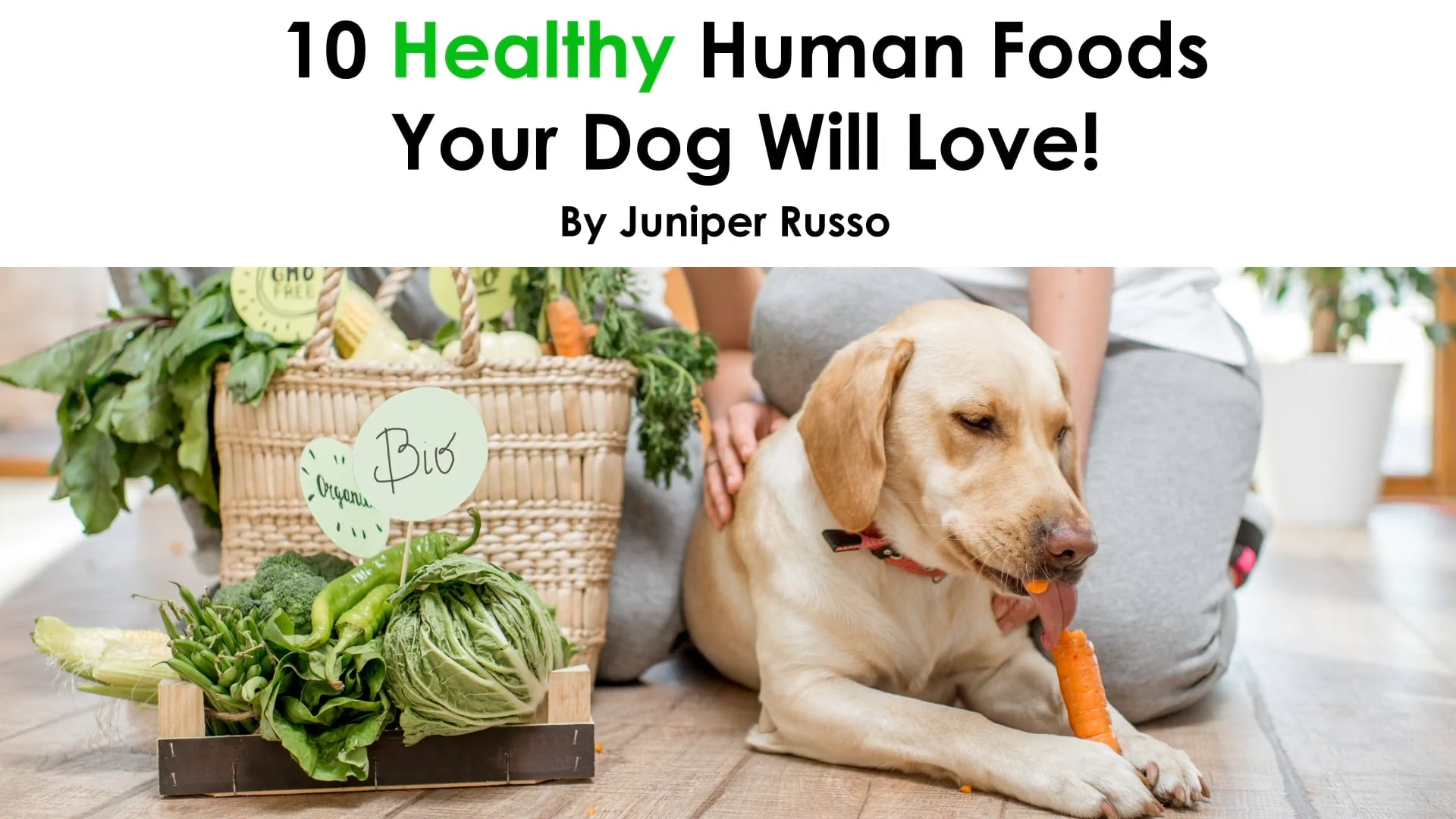 10 Healthy Human Foods Your Dog Will Love | Animal Wellness Magazine