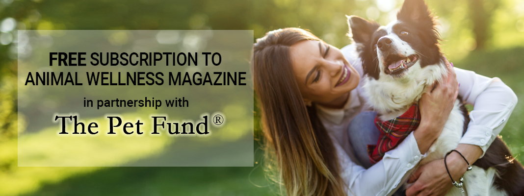 The Pet Fund | Animal Wellness Magazine