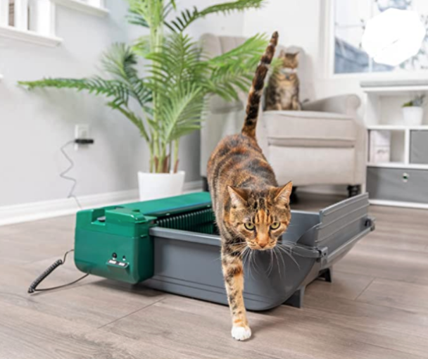 Best Automatic Litter Box (Self-Cleaning Boxes) Reviewed | Animal ...