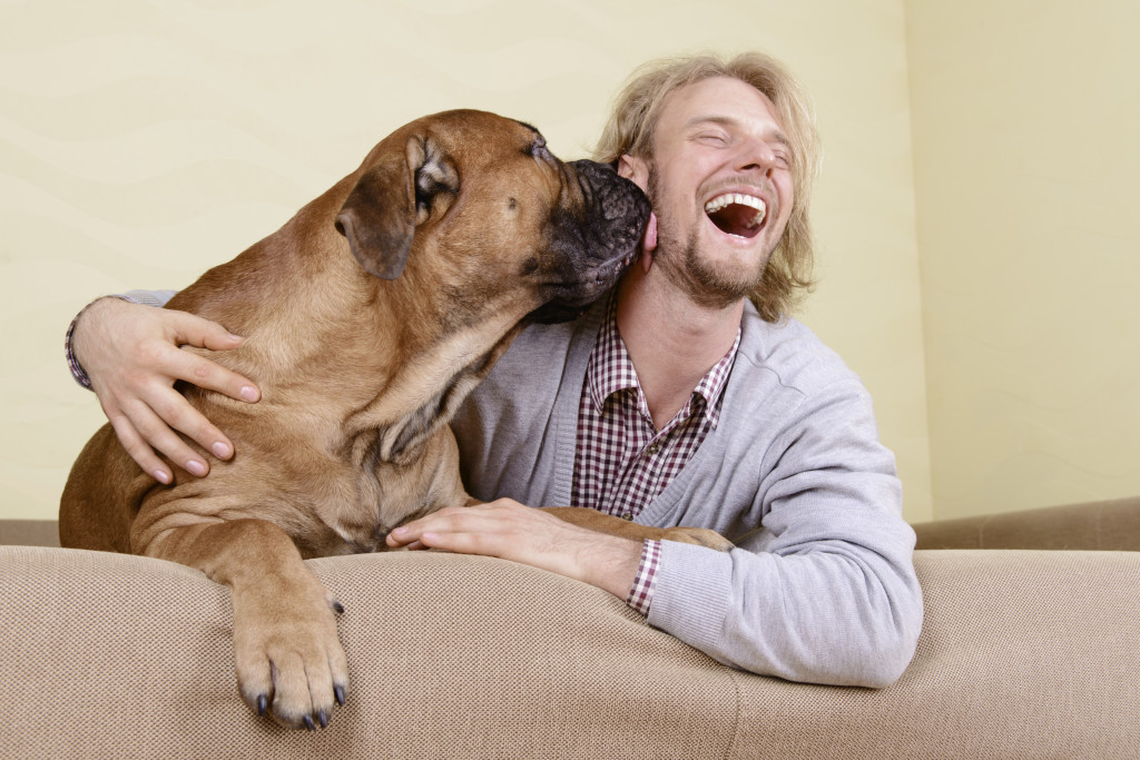 5 signs that you’re an exceptional dog dad! | Animal Wellness Magazine